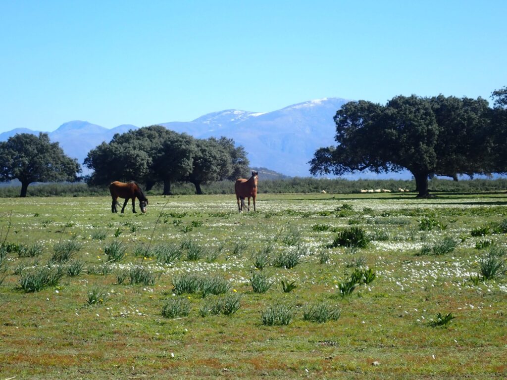 Spring: the best season for Ecotourism in Spain - Soy ecoturista